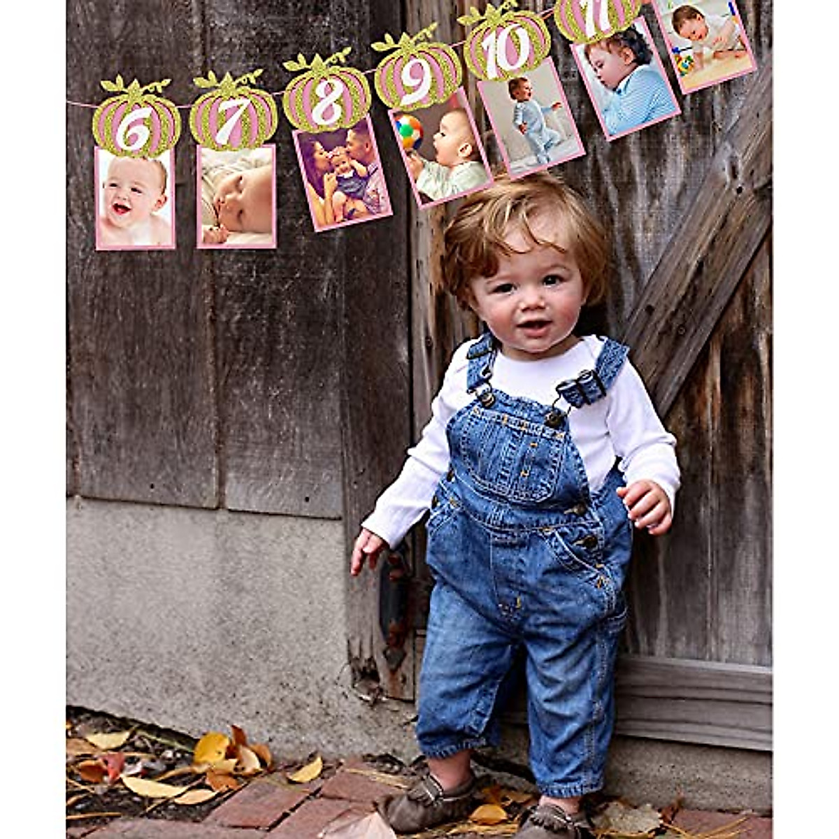Pumpkin 1st Birthday Photo Banner, Glitter Pumpkin Bnaner Newborn to 12 Month Photo Display for Pumpkin Baby Shower Fall First Birthday Party Decor