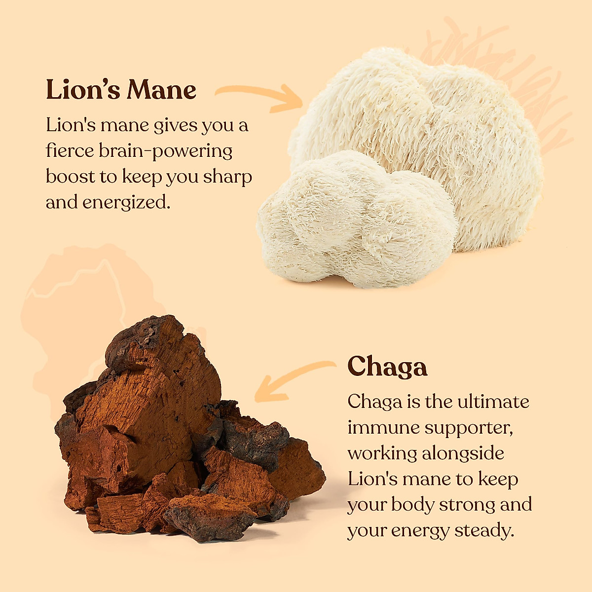 Organic Mushroom Ground Coffee by Four Sigmatic | Dark Roast, Fair Trade Gourmet Coffee with Lion's Mane, Chaga & Mushroom Powder | Immune Boosting Coffee for Focus & Immune Support | 12oz Bag