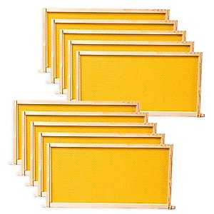 BeeCastle 10 Pack Beehive Frames and Wax Foundations for Deep Brood Bee Hives with Wooden Bee Hive Frames and 100% Beeswax Coated Foundations, 9-1/8-Inch (Yellow)