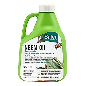 Safer Brand 5182-6 Neem Oil Concentrate Insecticide, Miticide, Fungicide for Plants - Kills Insects and Mites and Controls Fungal Disease - OMRI Listed for Organic Use