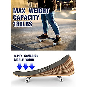 M Merkapa 31"x8" Skateboard for Adults Teens Youths Kids Beginners, 8 Layer Canadian Maple Double Kick Deck Concave Fit for Skateboarding, Cruising, Carving, Tricks (with T Tool)