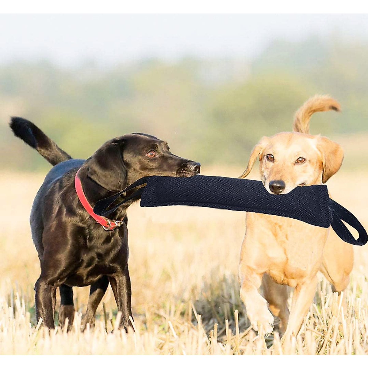 Clysrou Dog Tug Toy Dog，Tough Jute Bite Pillow - Durable, Training Equipment - Puppy to Large Dogs Interactive Toy.