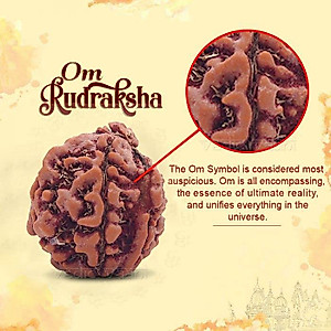 Vedic Vaani Natural Divine Sacred Om Aum Lord Shiva Rudraksh (1 Pcs)