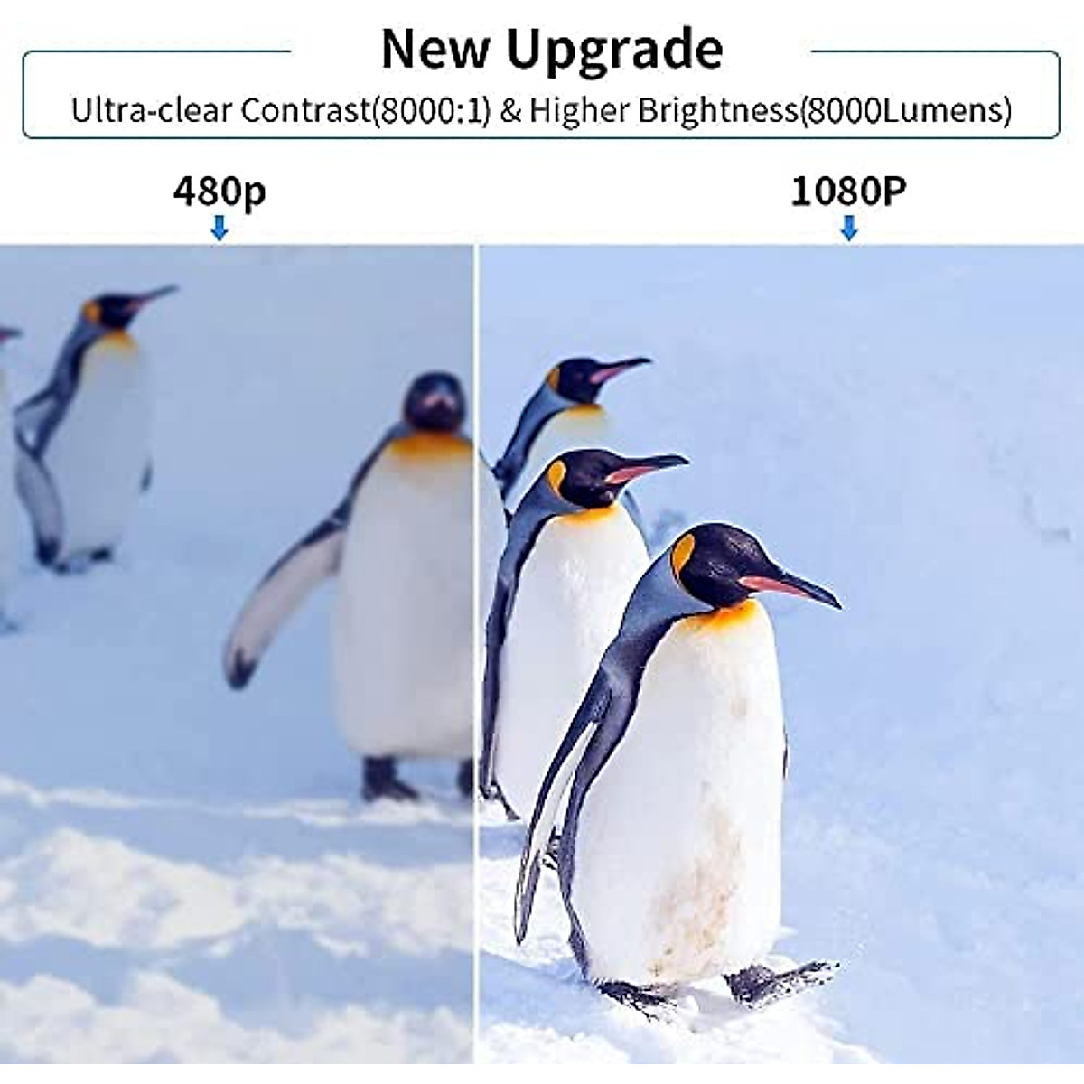 EUG LCD LED Multimedia HD Video Projector 1080P Digital Movie Gaming Projector HDMI USB AV VGA Audio for Laptop PC Smartphone DVD PS4 Xbox Wii Home Theater Outdoor Party