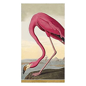Caspari Audubon Birds Paper Guest Towel Napkins, 15 Per Package, Pink