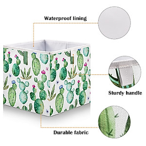 Cactus Succulent Floral Storage Baskets for Shelves Foldable Collapsible Storage Box Bins with Waterproof Fabric Closet Organizers for Pantry Clothes Storage Toys, Books, Home, Office,16 x 11inch