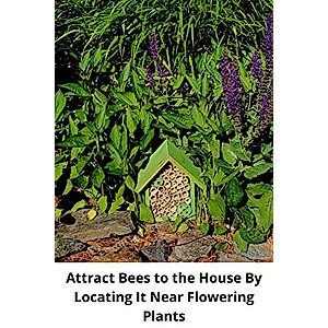 Rose Pink and Green Mason Bee House for The Garden Bundle - Lifetime Replacement Guarantee