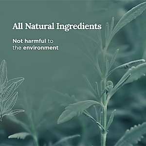 MAGNIFICENT 101 Aromatherapy Candles, Pure White Sage Candles for Cleansing House Chakra Healing, Naturally Scented Soy Candles for Outdoor and Indoor, 6 Oz Pure Sage Candles