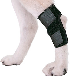 Agon® Dog Leg Braces For Back Leg wrap hock compression protects wounds and helps heal hind legs rear ankle joint, preventing injuries, sprains providing stability for dogs, canines arthritis (Medium)
