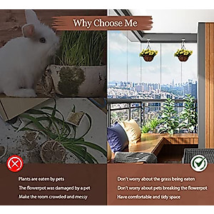 ASZUNE Ceiling Hooks for Hanging Plants - Metal Plant Bracket Iron Wall Mount Lanterns Hangers for Hanging Bird Feeders, Lanterns, Wind Chimes, Planters, Outdoor Decoration Hooks