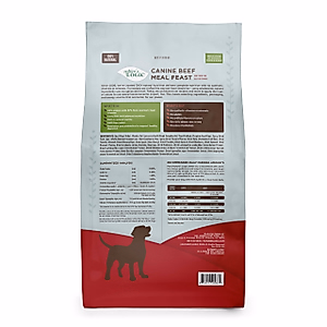 NATURE'S LOGIC Dog Food Canine Meal Feast, Beef