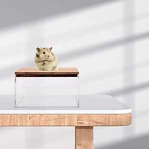 balacoo Hamster Bathroom Small Hamster Bathtub Household Hamster Bathtub Transparent Hamster Bathtub Wear- Bathtub Small Pet Supplies Reusable Hamster Bathtub Cage Hamster Bathtub