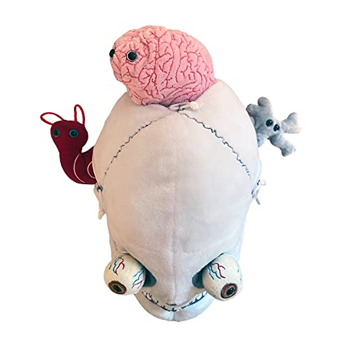 GIANTmicrobes Deluxe Skull with Hidden Organs Plush, Skull Plush, Anatomical Skull Gift, Halloween Skull Decor, Anatomy Skull, Human Skull Model Plushie, Skull Anatomy Model, Skull Pillow, Skull Toy
