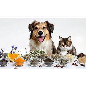 Intestinal Cleanse for Dogs and Cats, Digestive and Intestinal Support, Liquid Herbal Supplement for Gut, Health and Support, Promotes Beneficial Flora Growth, 4 Fl Oz