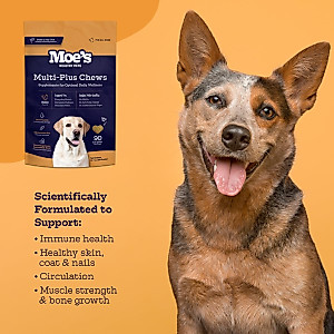 Moe’s 5-in-1 Essential Dog Multivitamin -Supports Dog's Heart, Immunity, Skin, Coat, & Overall Health- Vitamins A, B12, C, D, E, Antioxidants, Omega 3- for All Ages & Breeds- 90 Chicken Flavored Chews