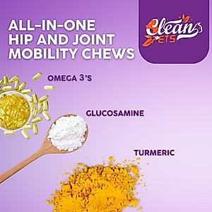 Hip and Joint Supplement Dogs with Glucosamine for Dogs + Chondroitin, Turmeric, Hyaluronic Acid, MSM, Salmon Oil, Collagen, Vitamin C, Omega 3 Senior Dog Supplements Beef Flavor by Clean Pets