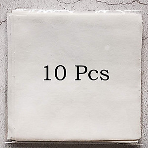 Pinhoollgo 10 Pieces White Cotton Fabric Embroidery Fabric Cotton for Embroidery Garment Craft Flower Pot Decoration Embroidery Cross Stitch Cloth,7.9 Inch