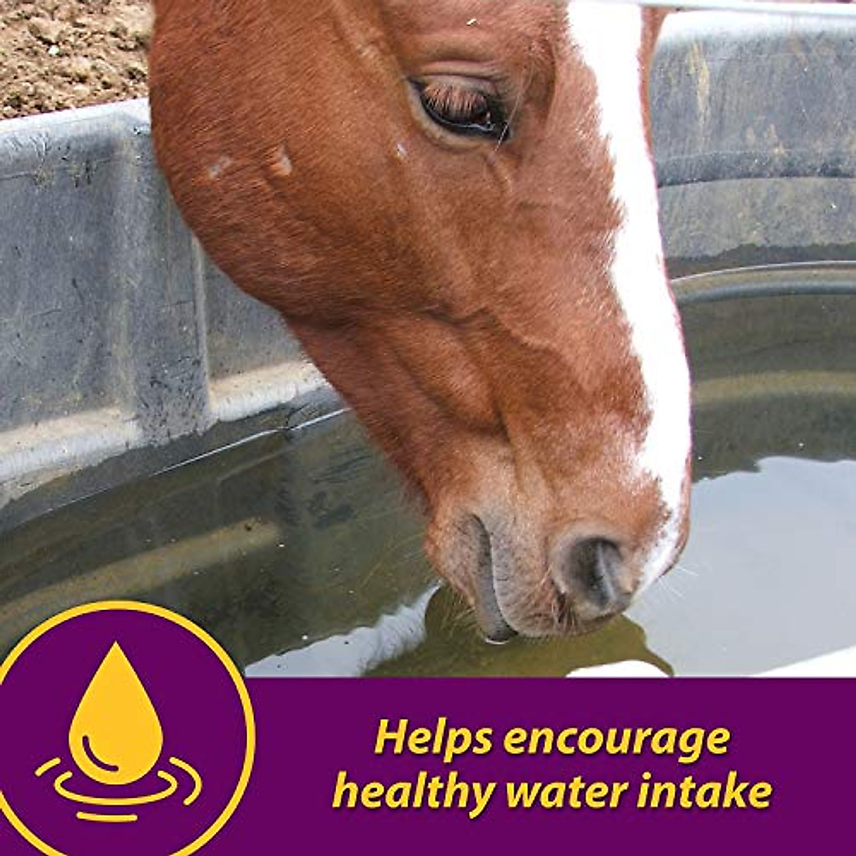 Horse Health Apple-Dex Apple Flavored Electrolytes for Horses, Replaces minerals lost during exercise, under stress or extreme weather conditions, 5 pound