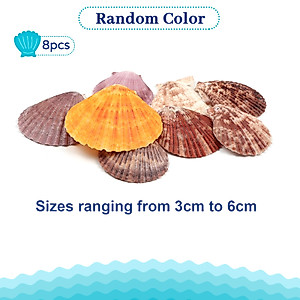 ZERODECO Nautical Decor, Natural Fish Net Party Decorations for Pirate Party, Wedding, Birthday Party, Beach Theme Party, Mermaid Decor, Cotton Fishnet with Shells, White Bubble Garlands, Beige