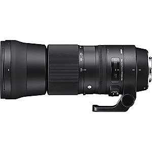 Sigma 150-600mm 5-6.3 Contemporary DG OS HSM Lens for Nikon