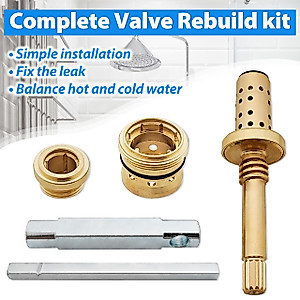 Complete Valve Rebuild kit Compatible with Symmons Temptrol Valve,Replacement for Cartridge (TA-10), Seats (TA-4) and Seat Removal Tools (T-35A/B),Adjustment and Balance of Hot and Cold Water Pressure