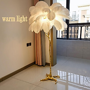 Natural Ostrich Feather Floor Lamp,Feather Lamps for Bedrooms and Living Room with Foot Switch Dimmable,Resin Feather Standing Lamp H:170cm (White)