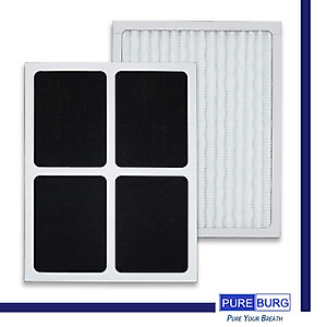 PUREBURG 2-Pack Replacement HEPA Filter Compatible with Hunter HEPAtech 30920 fits 30050 30054 30055 30065 30070 30071 30075 30080 30177 30832 30882 30883 37055 37065