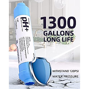 Ph+ Alkaline Water Filter Cartridge Improve Body Vitality Reverse Osmosis Filters Improves Taste Water Filter Replacement Mineralizes Water Filter Cartridge for Ro System