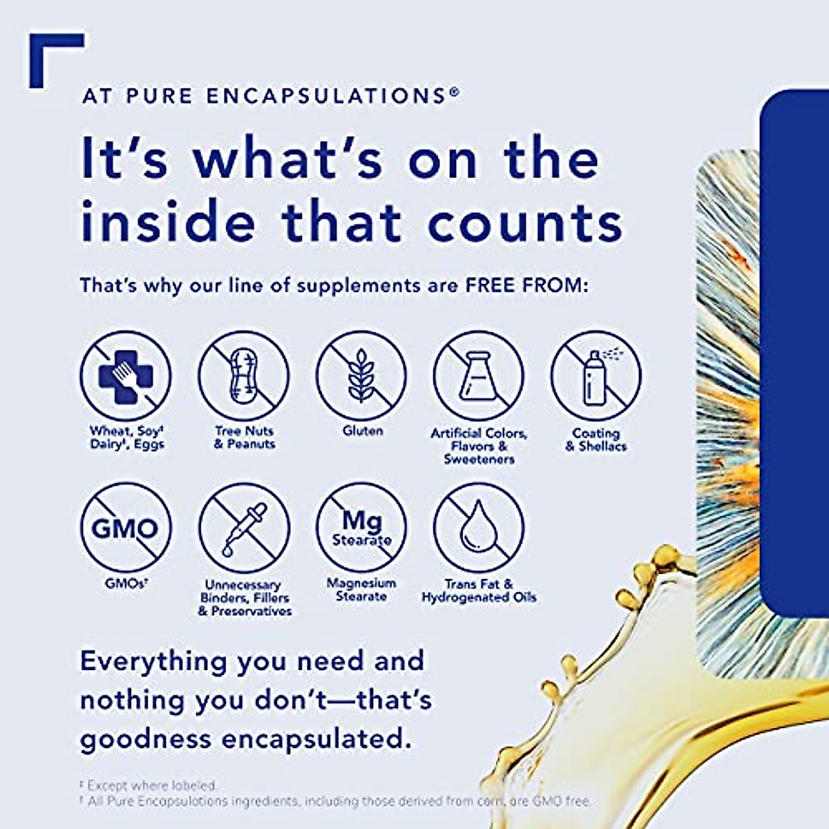 Pure Encapsulations CurcumaSorb Mind | Supplement to Support Memory, Sharpness, and Cognitive Function* | 60 Capsules