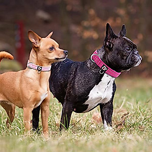 azuza 2 Pack Reflective Soft Neoprene Padded Dog Collars, Adjustable Pet Collar with ID Tag Ring, Safe and Comfy for Small Dogs,Hot Pink/Pink,S