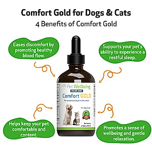 Pet Wellbeing Comfort Gold for Dogs - Supports Canine Physical Comfort, Healthy Circulation, Corydalis, Turmeric - Veterinarian-Formulated Herbal Supplement 4 oz (118 ml)