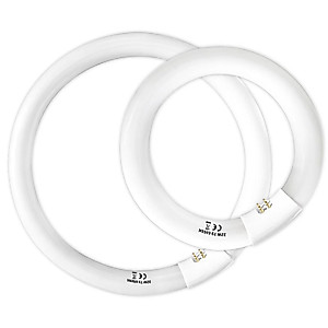 Celiwace FC8T9 22W and FC12T9 32W Set, 8 inch T9 22 Watts Circular Light Bulbs, 12 inch 32 Watts Circline Fluorescent Bulb CRI 80, Daylight 6500K, 3350 Lumen G10q