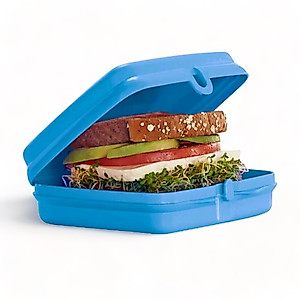 Tupperware Sandwich Keeper Set of 2 in Blue