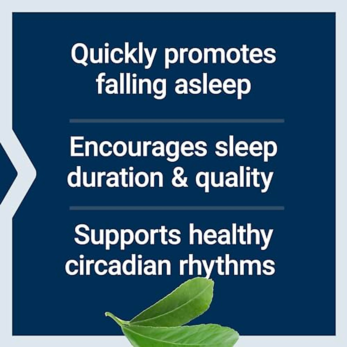 Life Extension Fast-Acting Liquid Melatonin – Sleep & Cellular Health Support Supplement – Gluten-Free – Non-GMO – Citrus-Vanilla Flavor – Net Wt. 2 fl.oz. (59 Servings)