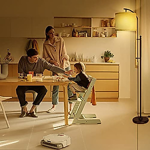 bodkar Rustic Floor Lamp with Remote, Farmhouse Standing Lamp Adjustable Height Dimmable for Living Room Bedroom Bulb Included(Black and red)