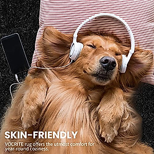 Vocrite Black Fluffy Rug for Bedroom, Shag Fuzzy Area Rug for Living Room, Non-Slip Shaggy Plush Furry Rugs for Nursery Classroom, Soft Carpet for Playroom Dorm Teen's Room Decor, 4x6