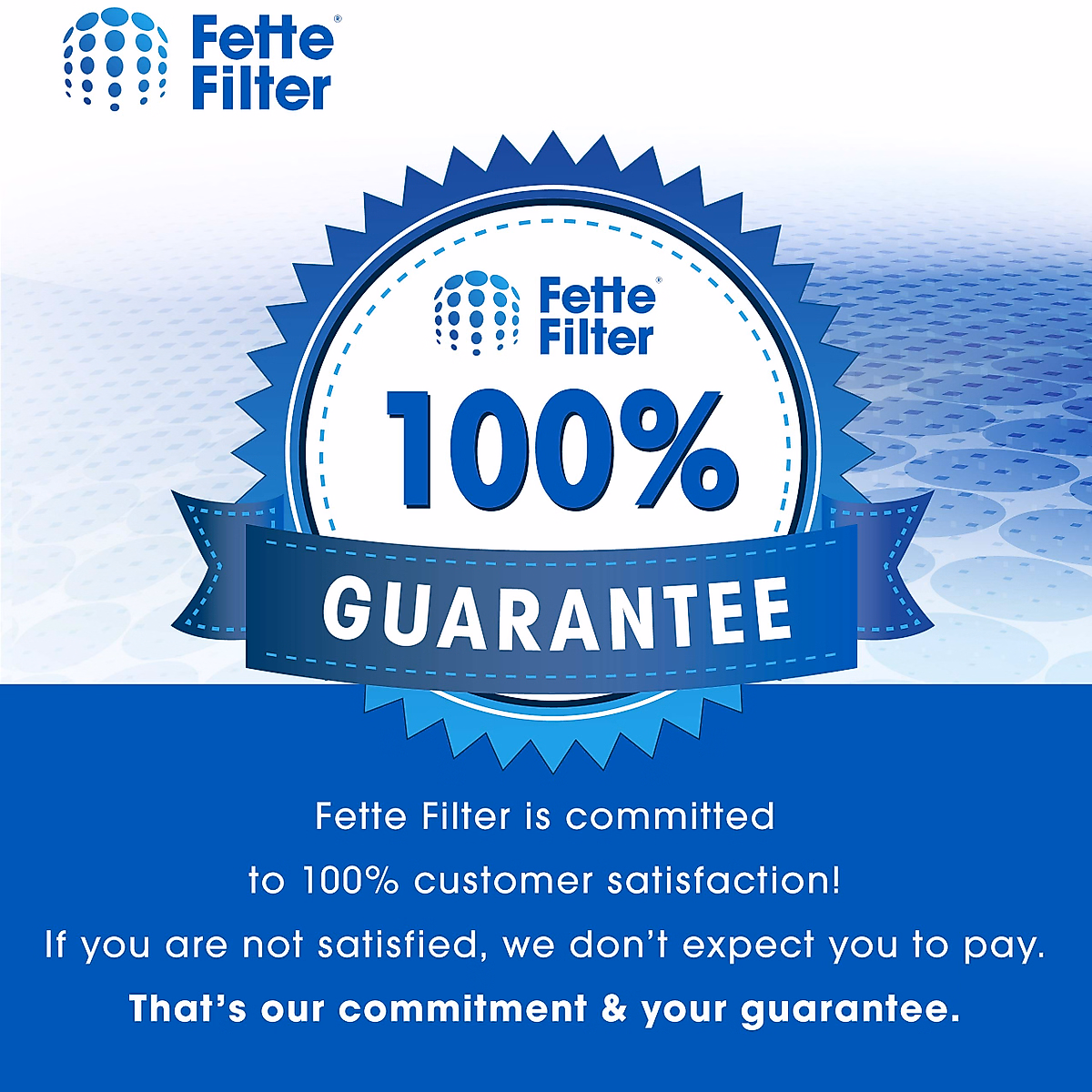 Fette Filter - FLT9200 True Hepa H13 Air Purifier Filter H and Carbon Combo Pack Compatible with FLT9200 for AC9200 AC9200WCA Air Purifier 2 True HEPA & 2 Carbon Filter Included.