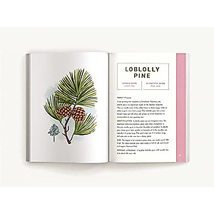 Trees: An Illustrated Field Guide (Illustrated Field Guides)