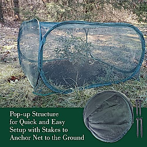 Gardeneer by Dalen Pop-Net Portable Protective Enclosure – Lightweight and Weatherproof – Easy DIY Installation – Safeguard Your Plants Against Garden Pests - 40" x 40" x 20"