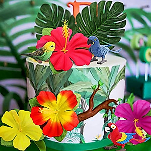 JeVenis Parrot Birthday Cake Decoration Tropical Bird Cupcake Decoration Parrot Party Supplies Tropical Bird Cake Decoration Parrot Birthday Party Decoration