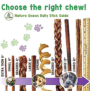 Nature Gnaws Bully Sticks for Large Dogs - Premium Natural Beef Dental Bones - Thick Long Lasting Dog Chew Treats for Aggressive Chewers - Rawhide Free