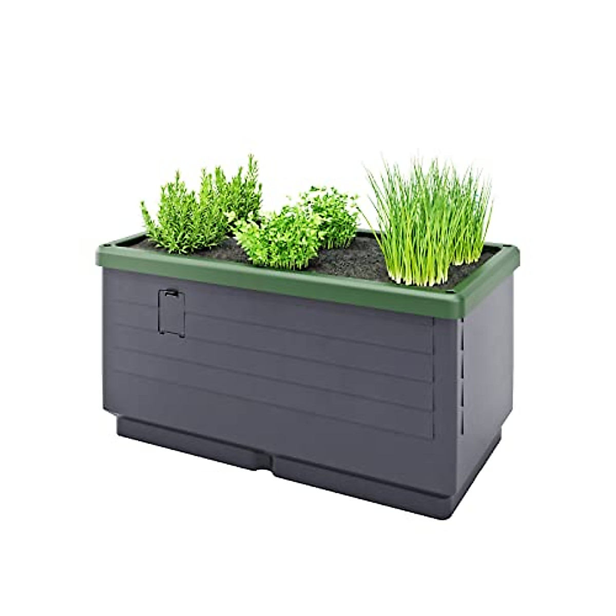 Bio Green JGL City Jungle Basic Model Plant Support, Charcoal Grey/Green
