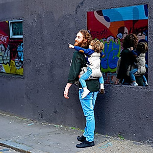 Diono Carus Essentials 3-in-1 Baby Carrier, Front Carry & Back Carry, Newborn to Toddler up to 33 lb / 15 kg, Easy to Wear Comfortable & Ergonomic, Sand