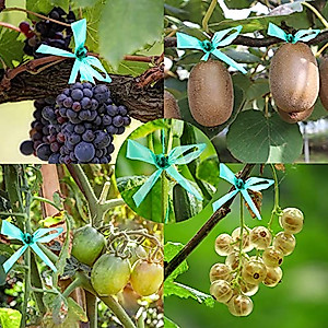 Coloch 6 Rolls Stretch Tie Tape, 150 Feet x 1" W Green Garden Tape, Thick Vinyl Stake Plant Ribbon for Branches, Climbing Planters, Flowers, Patio, Greenhouse