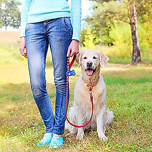 Depets Dog Poop Bag, Extra Thick Doggie Poop Bags with Poop Bag Holder and Leash Clip, Leak-Proof Dog Waste Bags, 11.8 × 8.7 IN Poop Bags for Dogs Cats, Blue, 160 Count