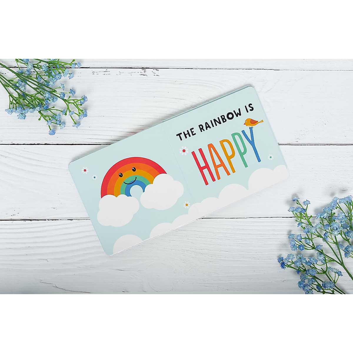 Kate & Milo Feelings of The Sky Board Book for Babies, Touch and Feel, Gender Neutral Nursery Book, Toddler or Baby Learning Book, Christmas Stocking Stuffer, Gift for New and Expecting Parents