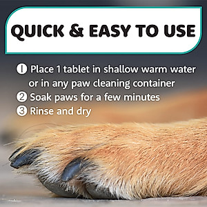 Evergreen Pet Supplies Dog Paw Cleaning Tablets - 100 Count, 4g Tea Tree Oil Fizz Tablets - Dog Itchy Paw Relief - Deep Cleans, Soothes, Moisturizes Yeasty Paw Pads - Helps Stop Frequent Paw Licking