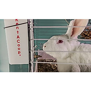 32oz No-Drip Small Animal Brass Nozzle Water Bottle. BPA Free. Best Water Bottle for Small Pet/Bunny/Ferret/Hamster/Guinea Pig/Rabbit