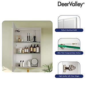Deer Valley Lighted Medicine Cabinet with Mirror, 24" W x 36" H Led Medicine Cabinet, Bathroom Wall Mounted Modern Mirrored Medicine Cabinets with Storage Organizer