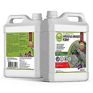 ECO Garden PRO - Organic Vinegar Weed Killer | Kid Safe Pet Safe | Clover Killer for Lawns | Moss Killer | Green Grass & Poison Ivy Killer | Spray Ready Glyphosate Free Herbicide (1 Gallon)
